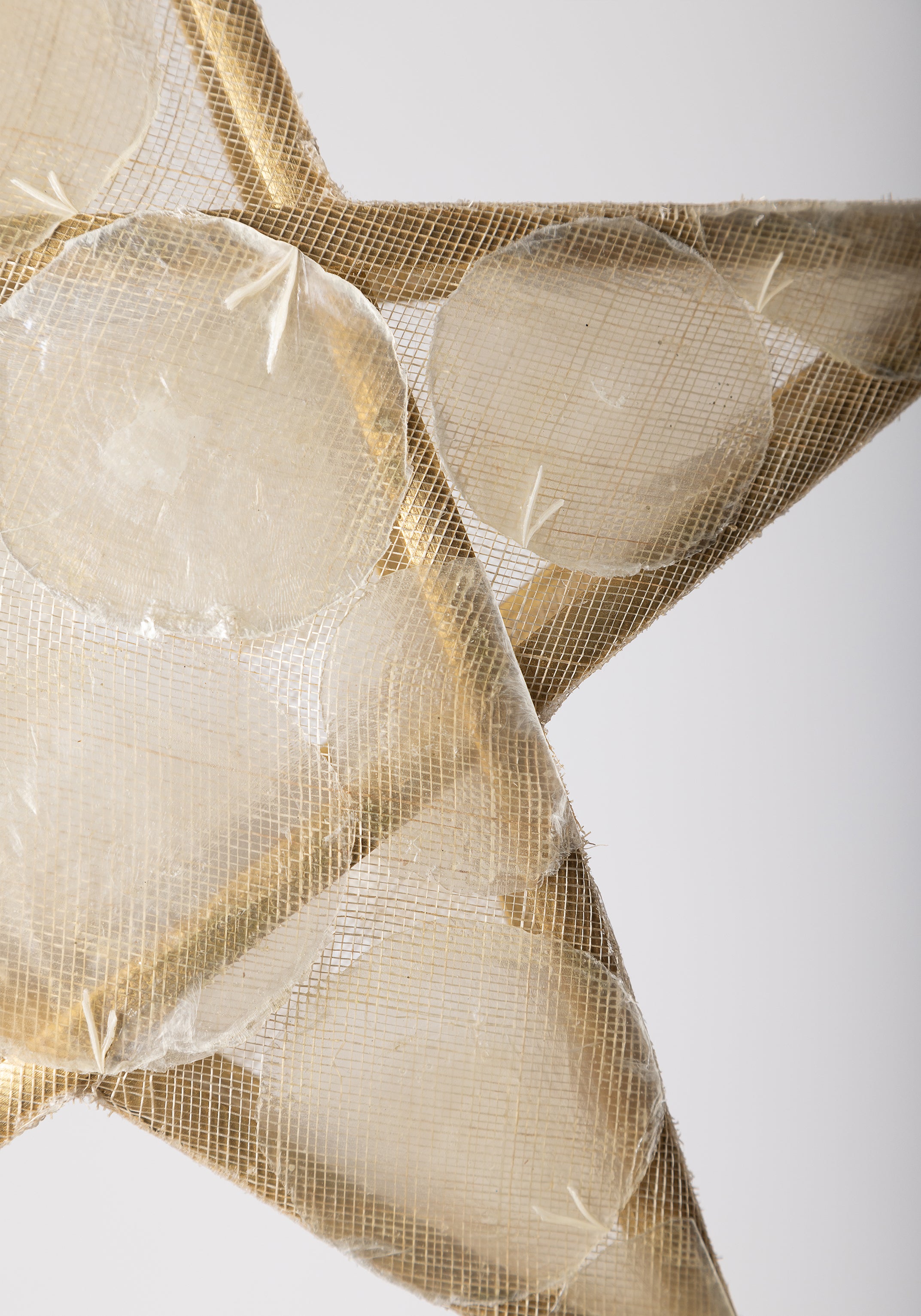 Janet Stars – Caro Wilson