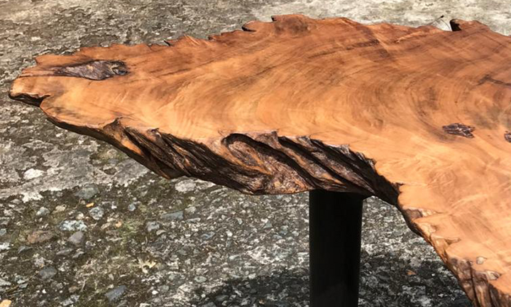 CARO WILSON | Official Website – Caro Wilson