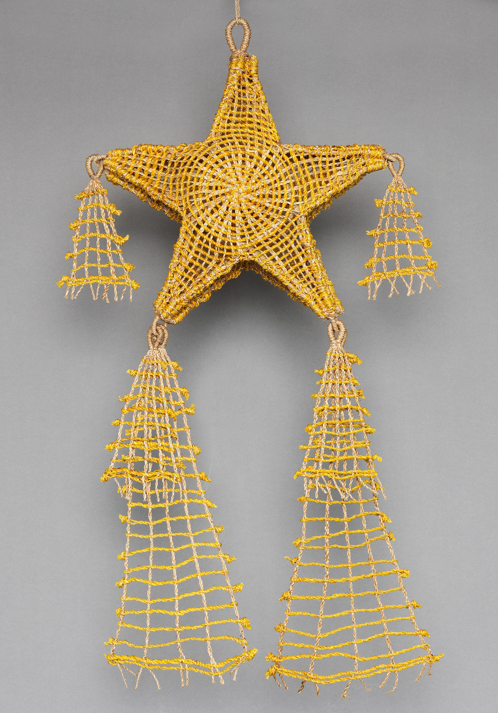 Turmeric & Natural – Caro Wilson